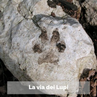 Parco dei Monti Lucretili